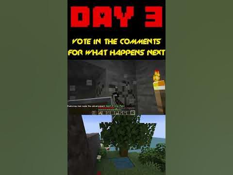 DEMOCRAFT day3 of playing minecraft everyday and doing what projects ...