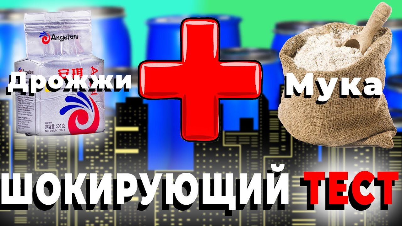 ТЕСТ ДРОЖЖЕЙ КОДЗИ НА МУКЕ - YouTube