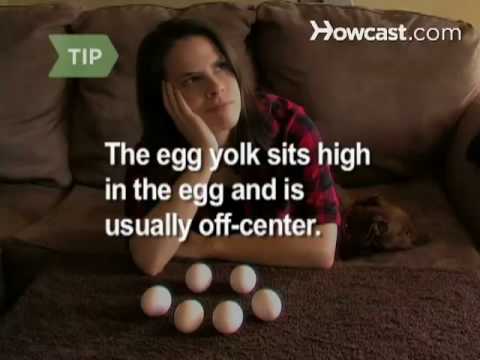 How to Balance an Egg on the Vernal and Autumnal Equinox - YouTube