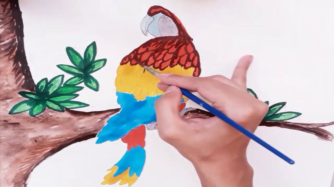 How to draw a Parrot step by step || Easy Parrot Drawing - YouTube
