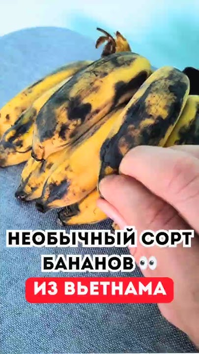 Зачем я покупаю почерневшие бананы во Вьетнаме 😬 Youtube