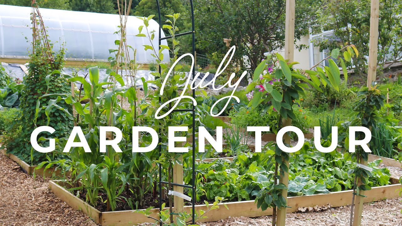 The Garden in July // Full Garden Tour - YouTube