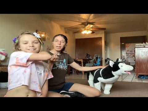 Kid and Dog Safety