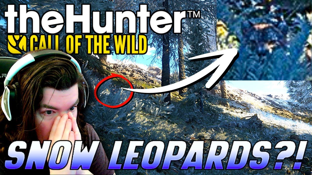 Does this Picture CONFIRM SNOW LEOPARDS in Sundarpatan?! | Call of the ...