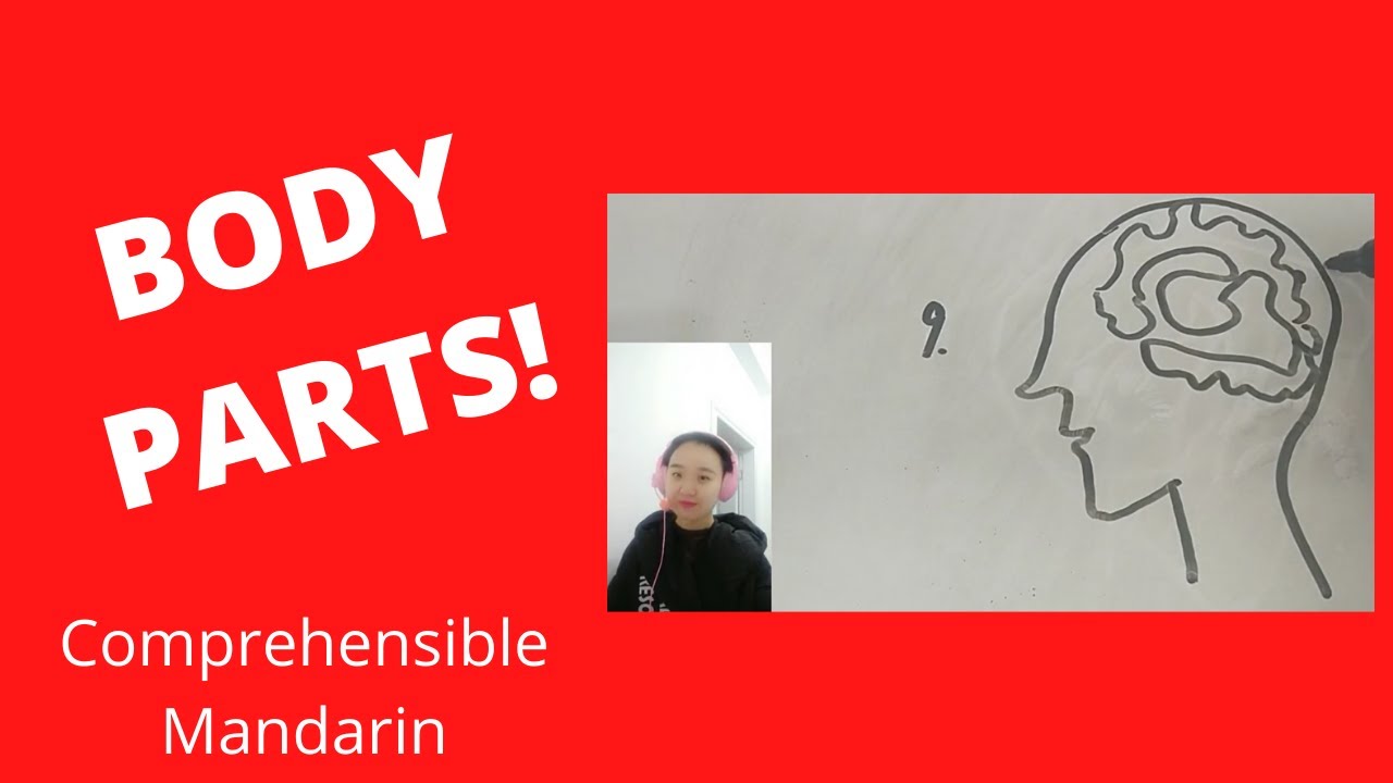 Body Parts - Chinese Comprehensible Input - YouTube