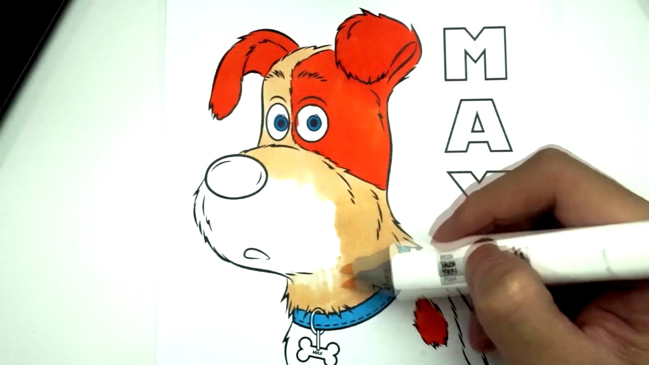 Coloring Book Max from The Secret Life of Pets - YouTube