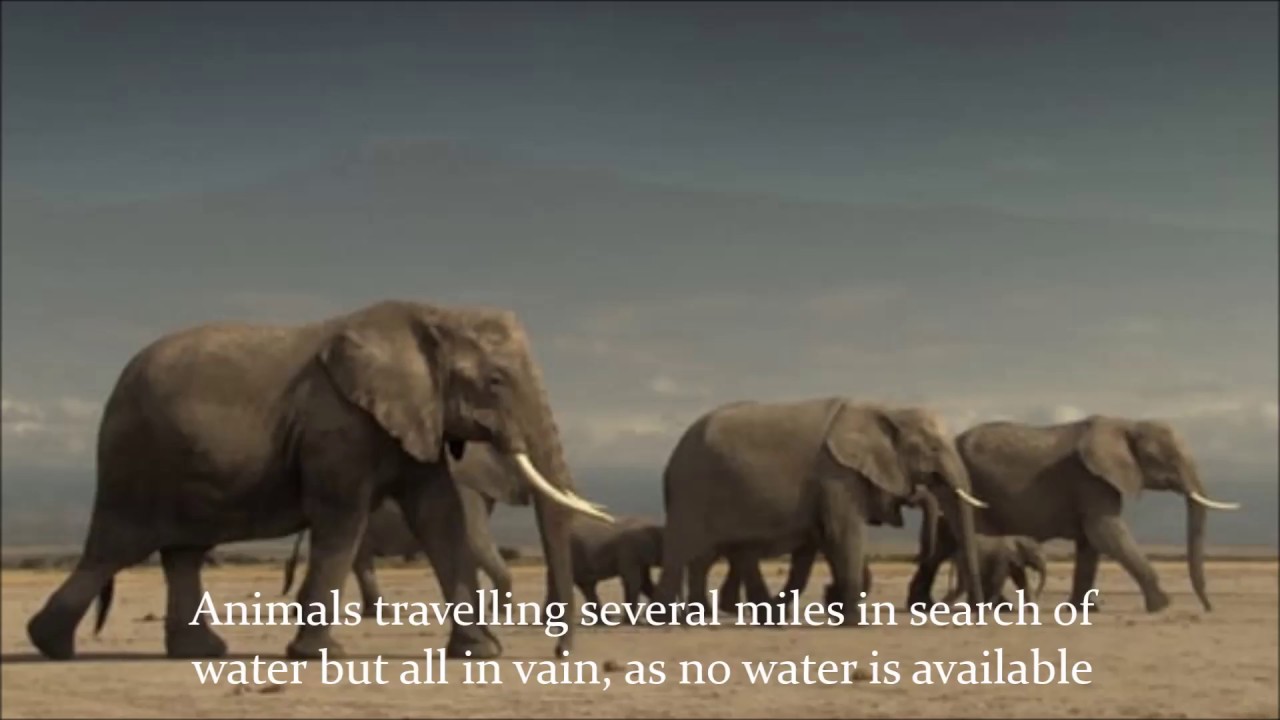 Patrick Kilonzo Mwalua: Real Life Hero - YouTube