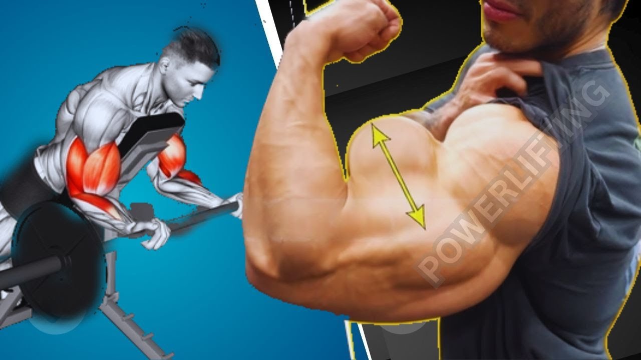Do This Biceps Workout For Major Arm Growth - Biceps Workout at Gym ...