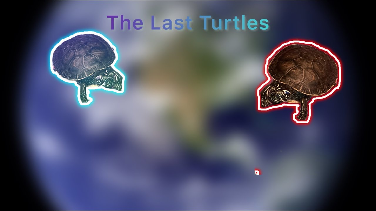 The Last Turtles - YouTube