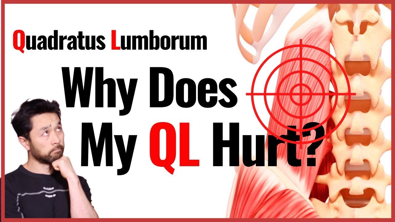 If YOU have QL Pain, Please Watch This Video - YouTube