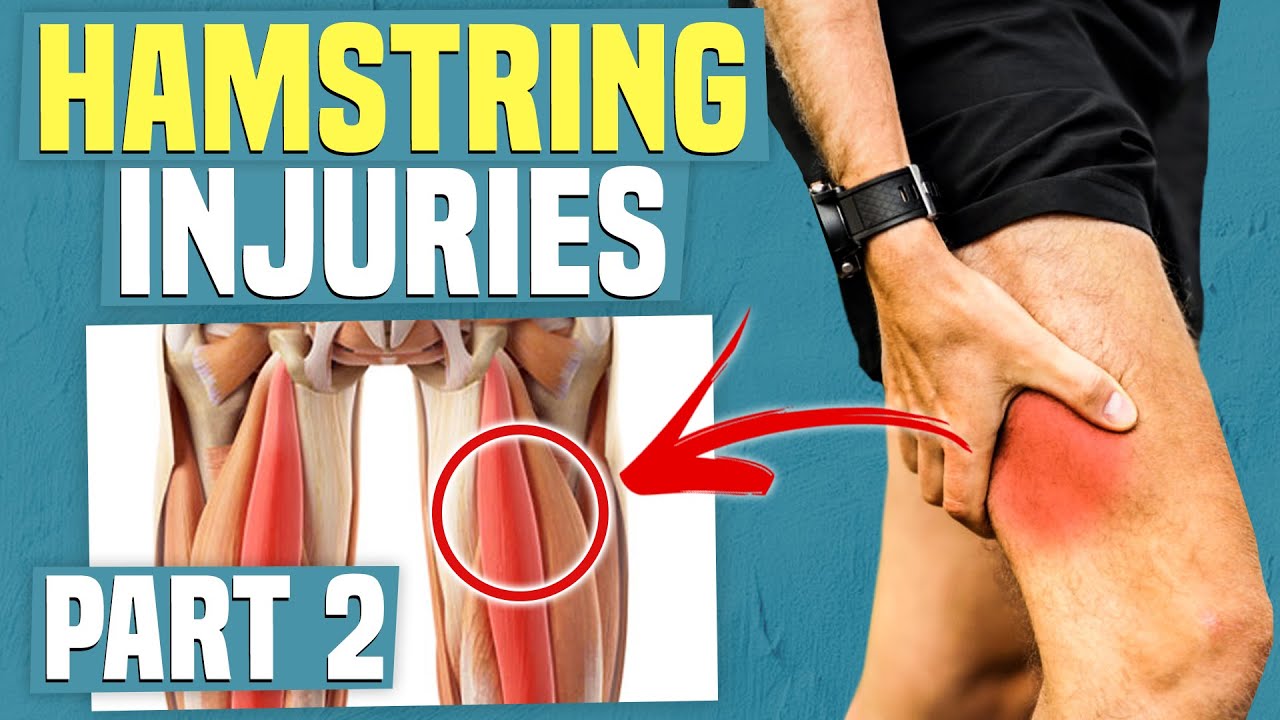 Hamstring Injuries Part 2 YouTube hamstring-injuries-part-2-youtube