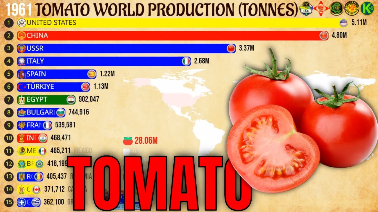 World s Top Tomatoes Producing Countries YouTube
