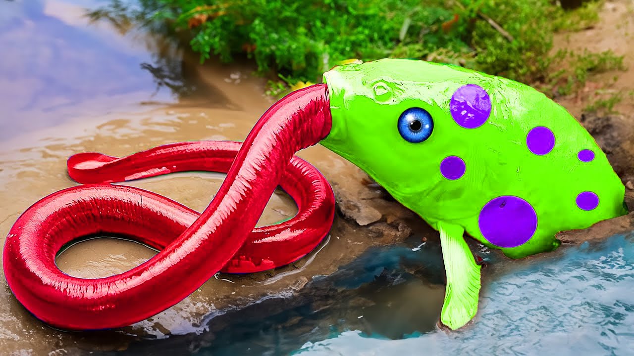 Koi fish fishing for Eel in mud pit lucky to find treasure - POP IT ...