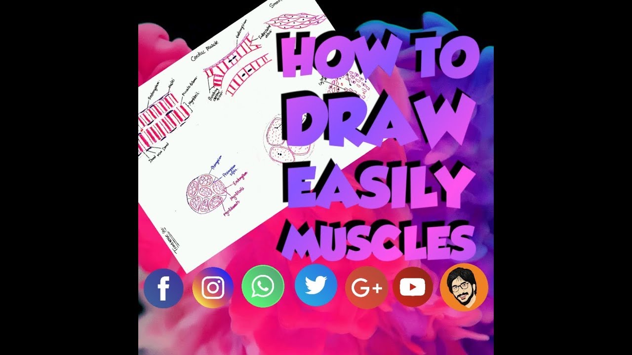 How to Draw Easily Muscle Histology - YouTube