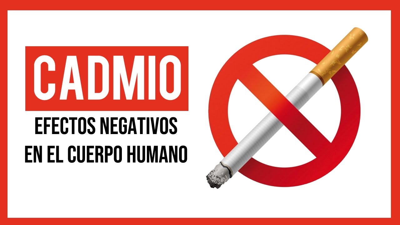 CADMIO: Dónde se Encuentra, EFECTOS en el ORGANISMO (Dr. Sergio Mejía ...