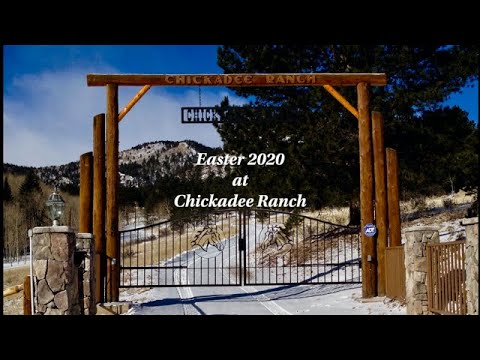 Easter at Chickadee Ranch - YouTube
