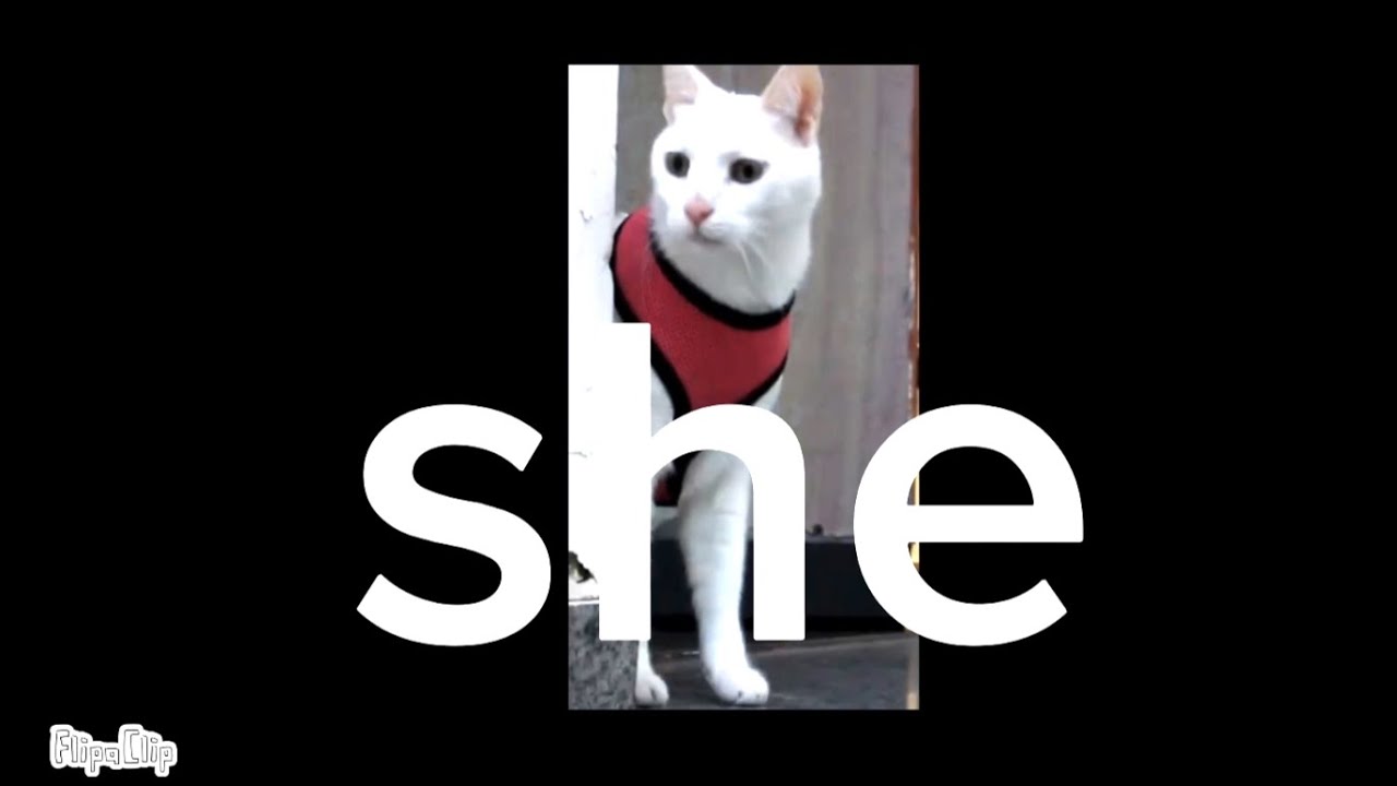 she - YouTube