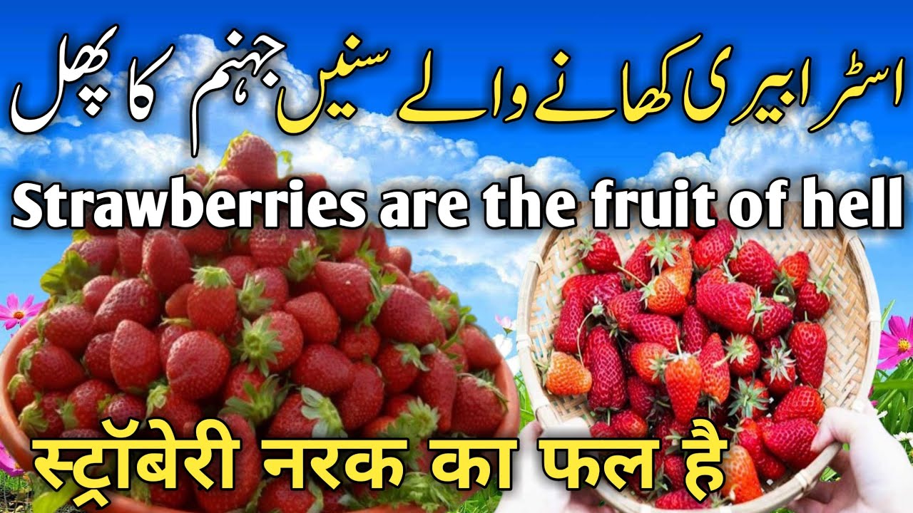 Strawberry Jahannam Ka Phal Hai | Strawberries are the fruit of hell | स्ट्रॉबेरी नरक का फल है ...