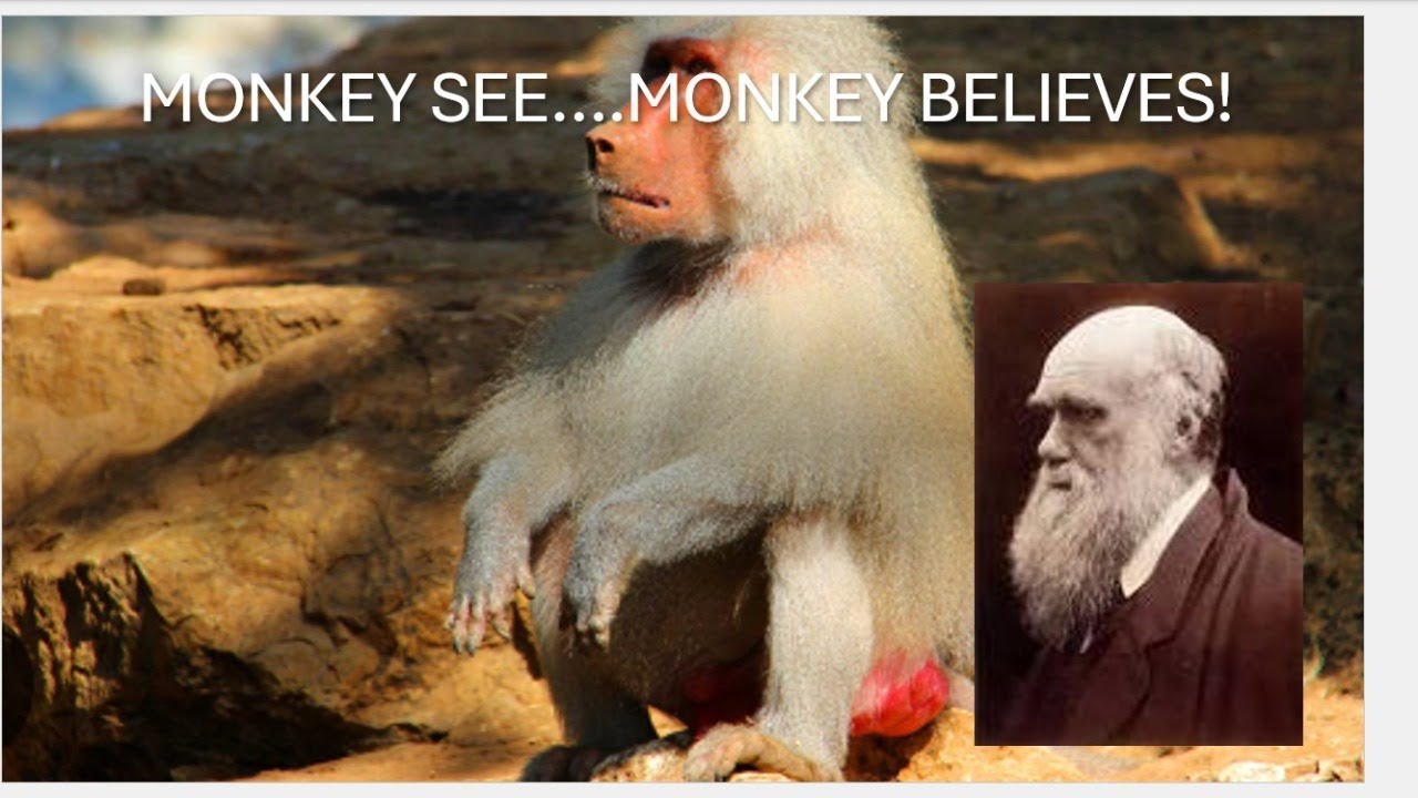 MONKEY SEE...MONKEY BELIEVES AND DO, SO SAYS "#Charles Darwin" "THE ...