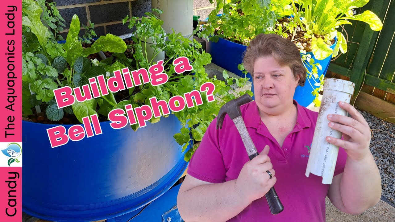 How to Build an Easy Bell Siphon for Aquaponics - YouTube