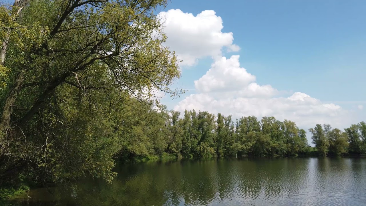 wandeling in de uiterwaarde van Dodewaard - YouTube