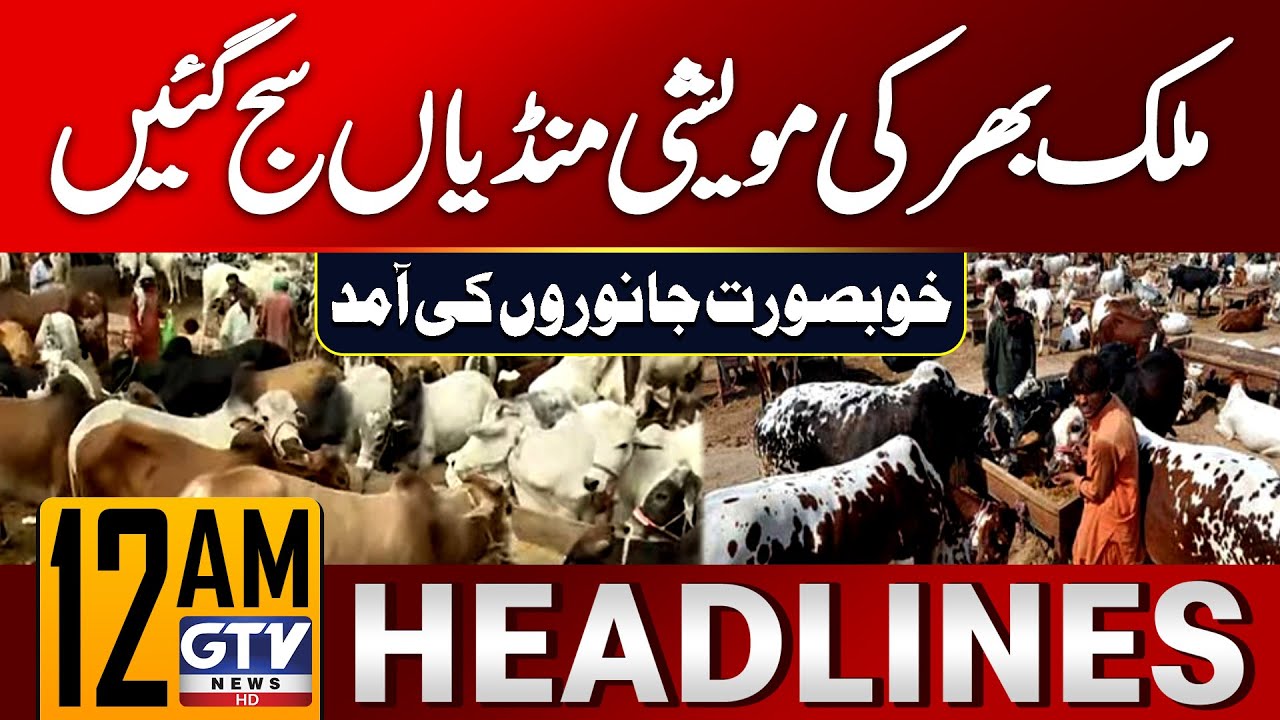 Cattle Markets Across Pakistan Attract Crowds with Majestic Animals ...