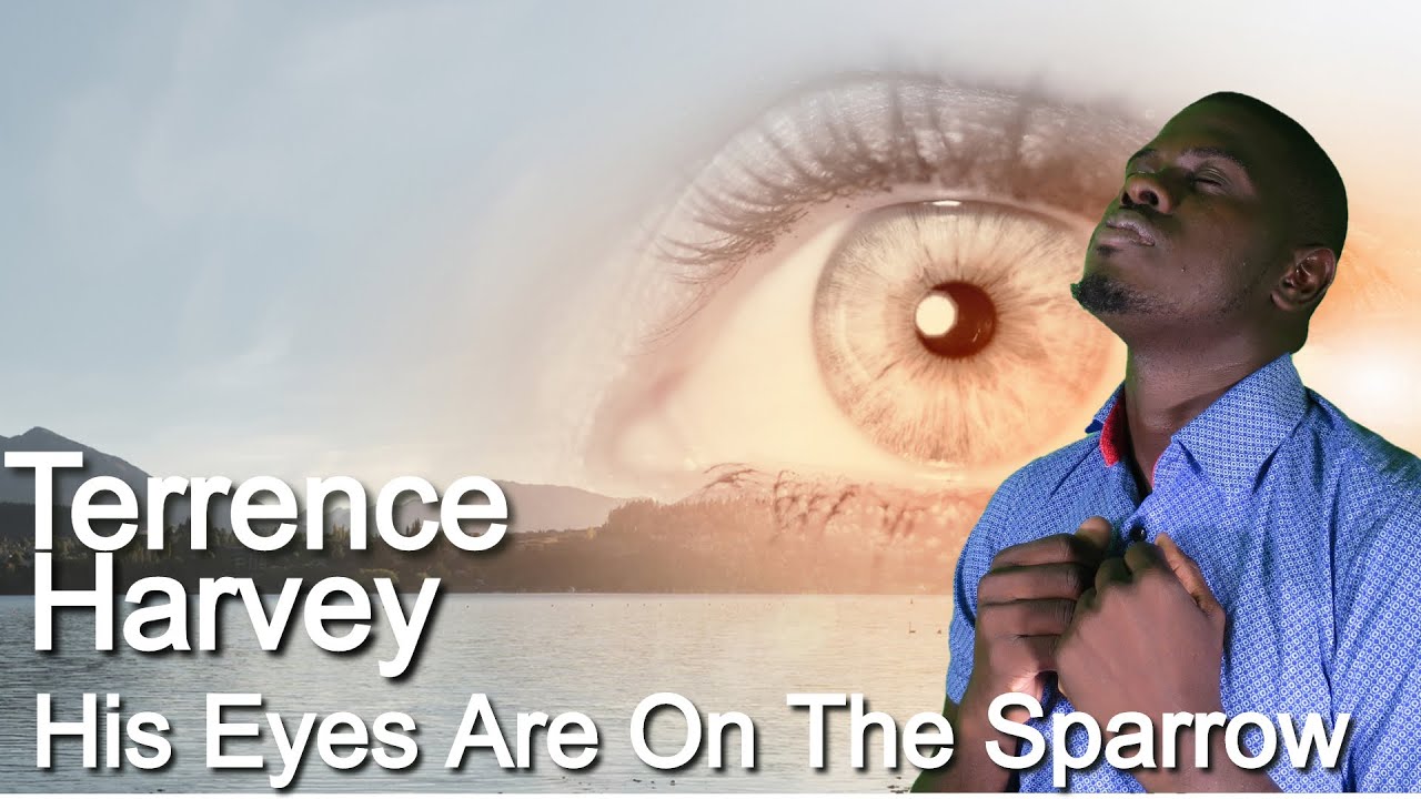 His Eye Is On The Sparrow (Reggae Version 2020) by Terrence Harvey ...