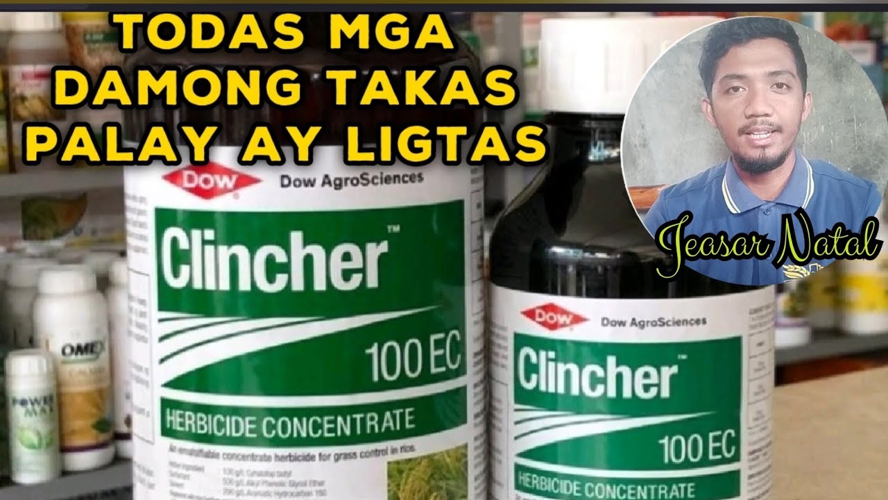 Clincher Herbicide 100EC | Pamatay sa damong may buko | 18 days after ...