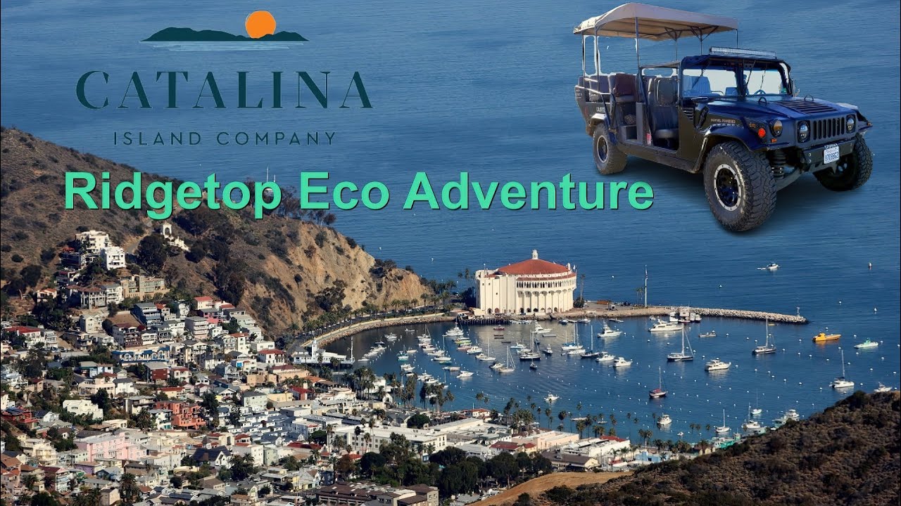 Catalina Ridgetop Eco Adventure Hummer Tour! 2-Minute Route Highlight ...