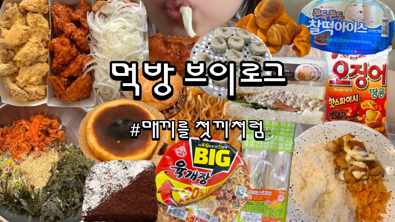 먹방 브이로그 매끼를 첫끼처럼 스노윙치즈크리미언양념치킨바스크치즈케이크초코브라우니샌드위치치킨덮밥만두참치김밥