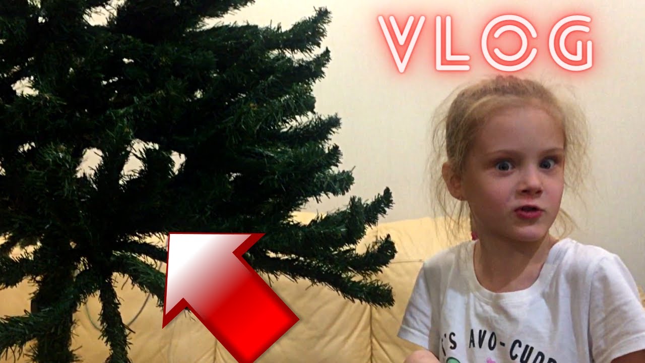 VLOG сходили с Миланой на тренировку, решили поставить елку/Miss Milana ...