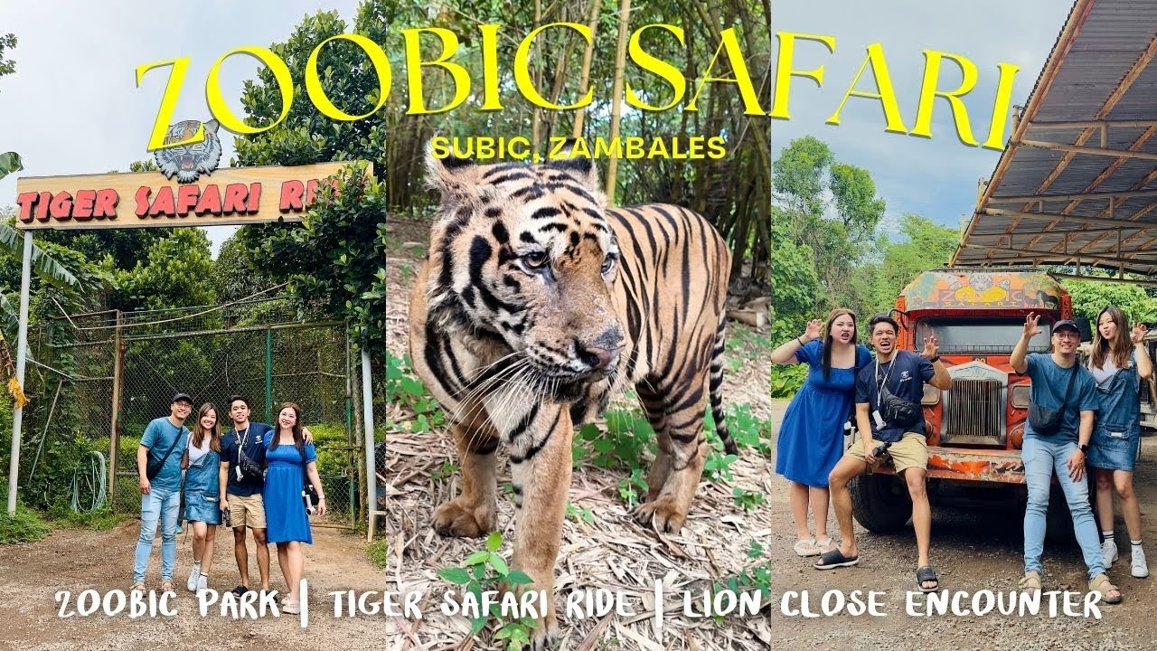ZAMBALES VLOG | Subic Safari | Zoobic Safari 🦚 | Tiger Safari Ride 🦁 ...