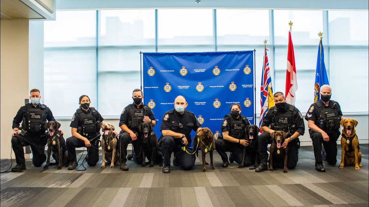 Transit Police K9 badge ceremony - YouTube