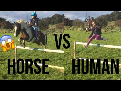 Horse Vs Human- Who Can Jump Higher?|The Fell Pony - YouTube