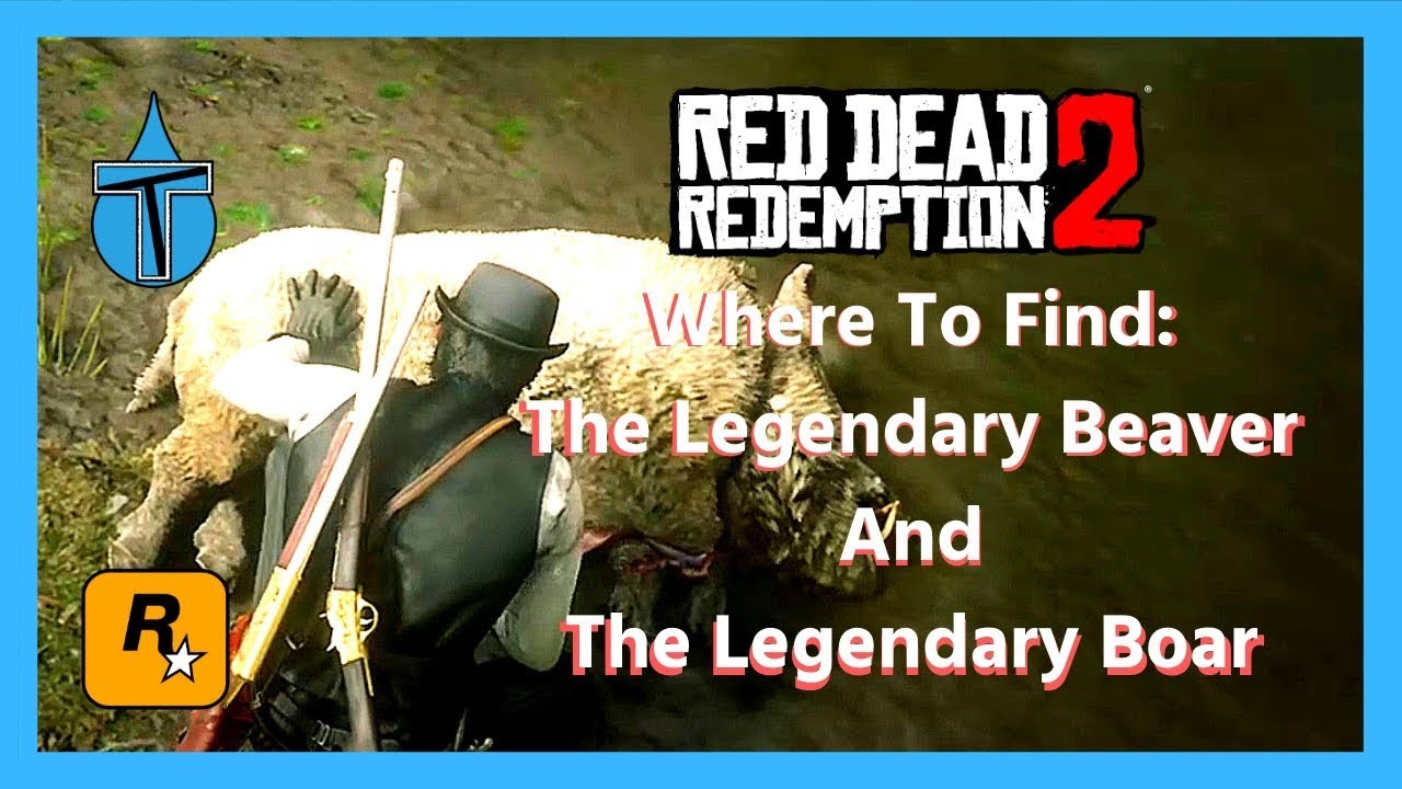 Where To Find: The Legendary Beaver and Legendary Boar (Red Dead ...