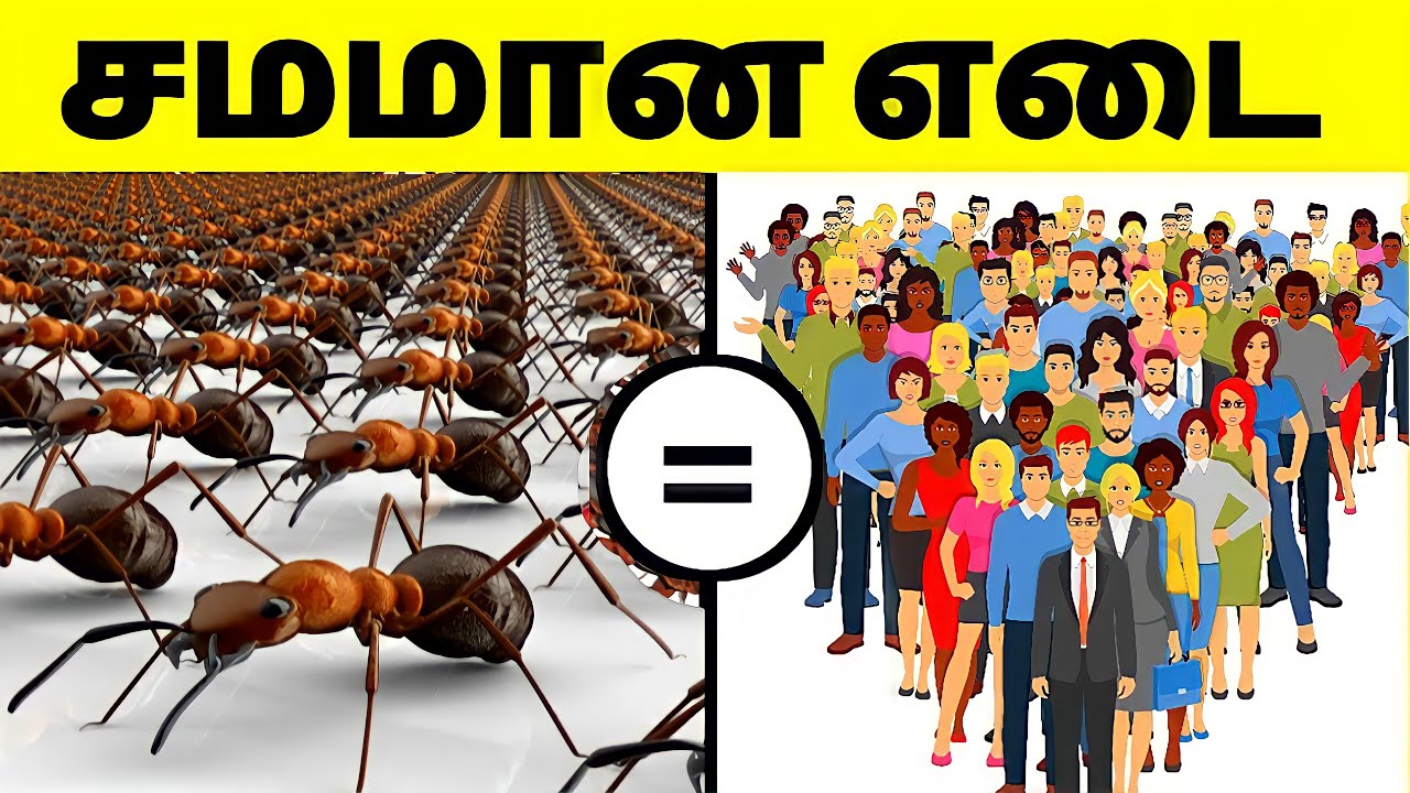 20 Quick facts that you didn't know_ facts in Tamil _ minutes mystery ...
