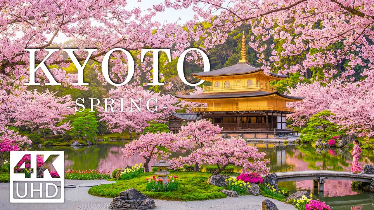 Kyoto 4K - Traditional Spring Beauty of Ancient Temples, Blooming ...