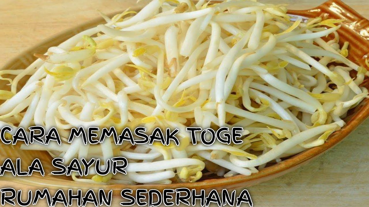 Cara Memasak Toge Dengan Masakan Masakan Sederhana Untuk Sayur Sehari ...