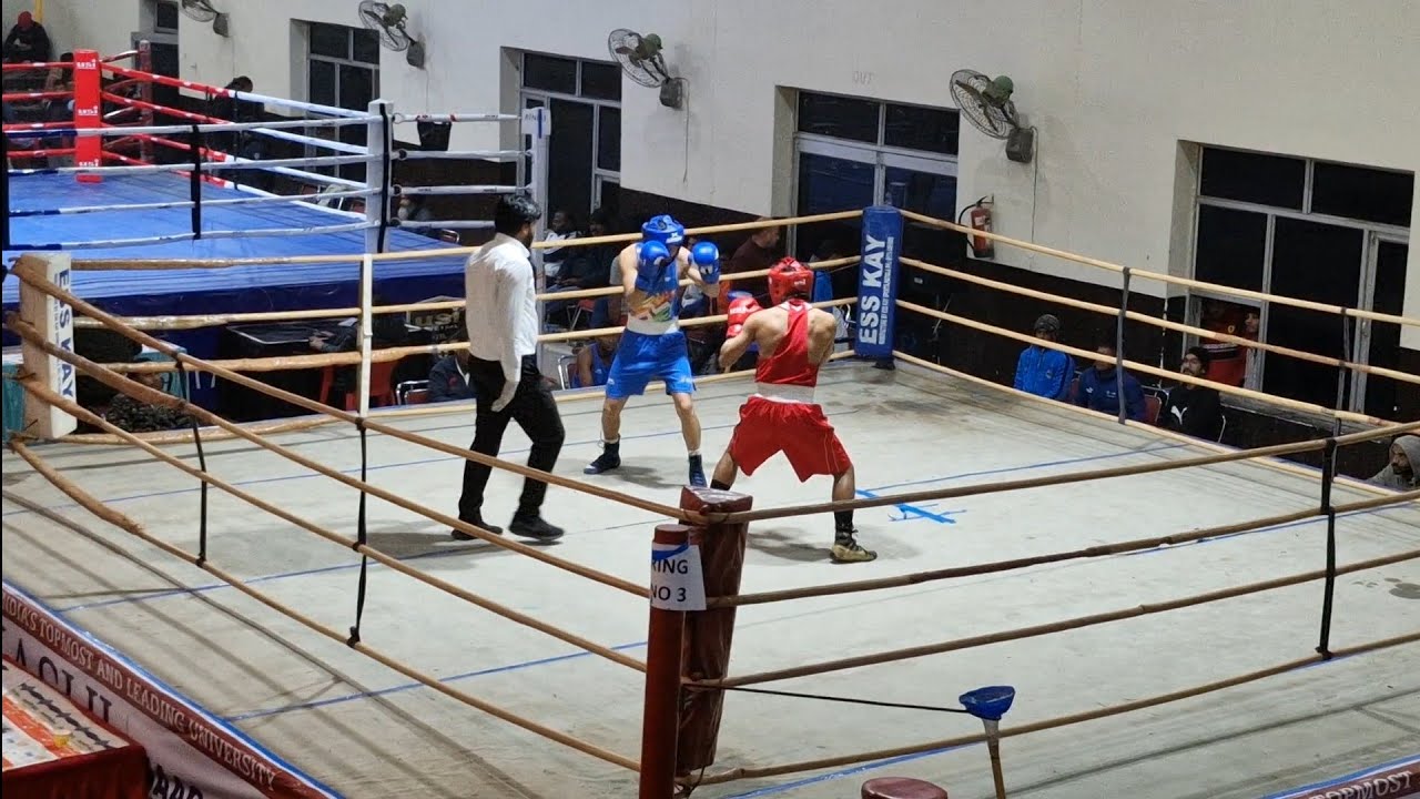 All India university boxing championship DAVV university V/S Himachal ...