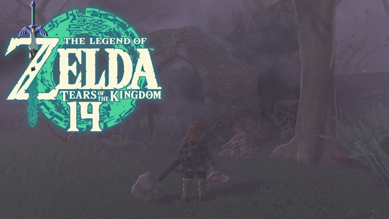 ZELDA TEARS OF THE KINGDOM #14: DIE VERLORENEN WÄLDER & DER WALD DER ...