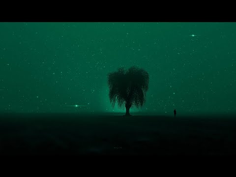 ＳＴＡＲＧＡＺＩＮＧ