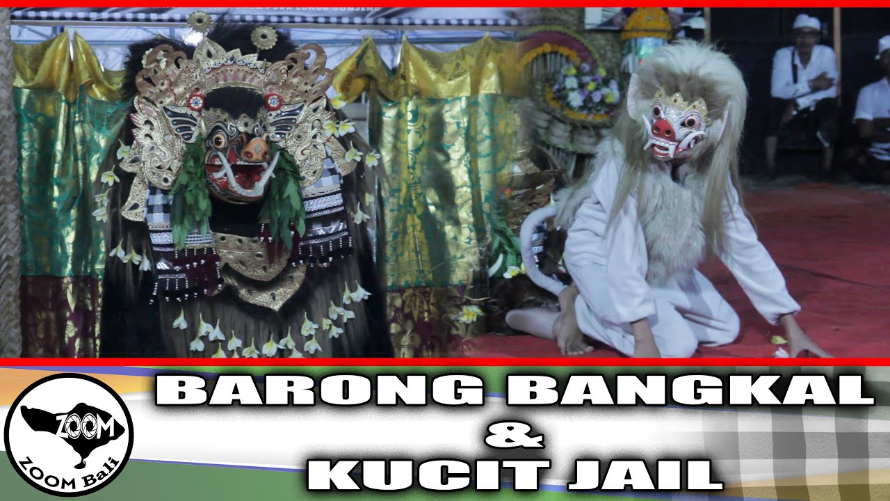 BARONG BANGKAL dan KUCIT JAIL isi NGOMPOL - YouTube