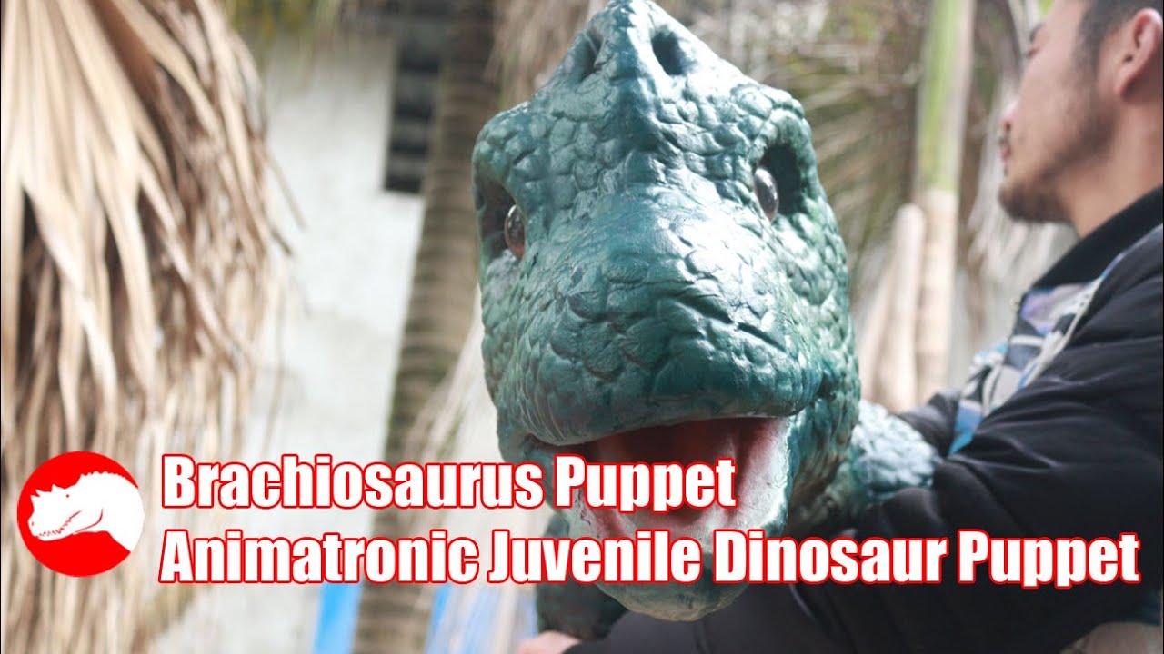 Juvenile Animatronic Brachiosaurus Puppet - YouTube