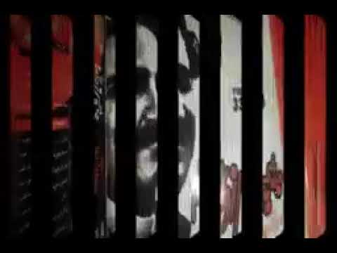 Haroon Bacha | Gul Karam Azghi Kegi | Album \
