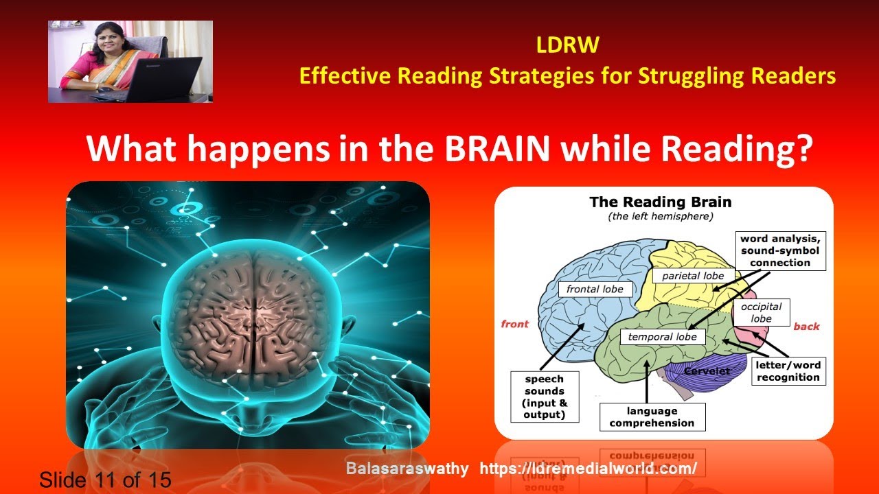 What happens in the Brain while Reading.... - YouTube