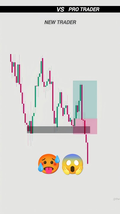 New Trader vs Pro Trader: How They Use Price Action Differently - YouTube