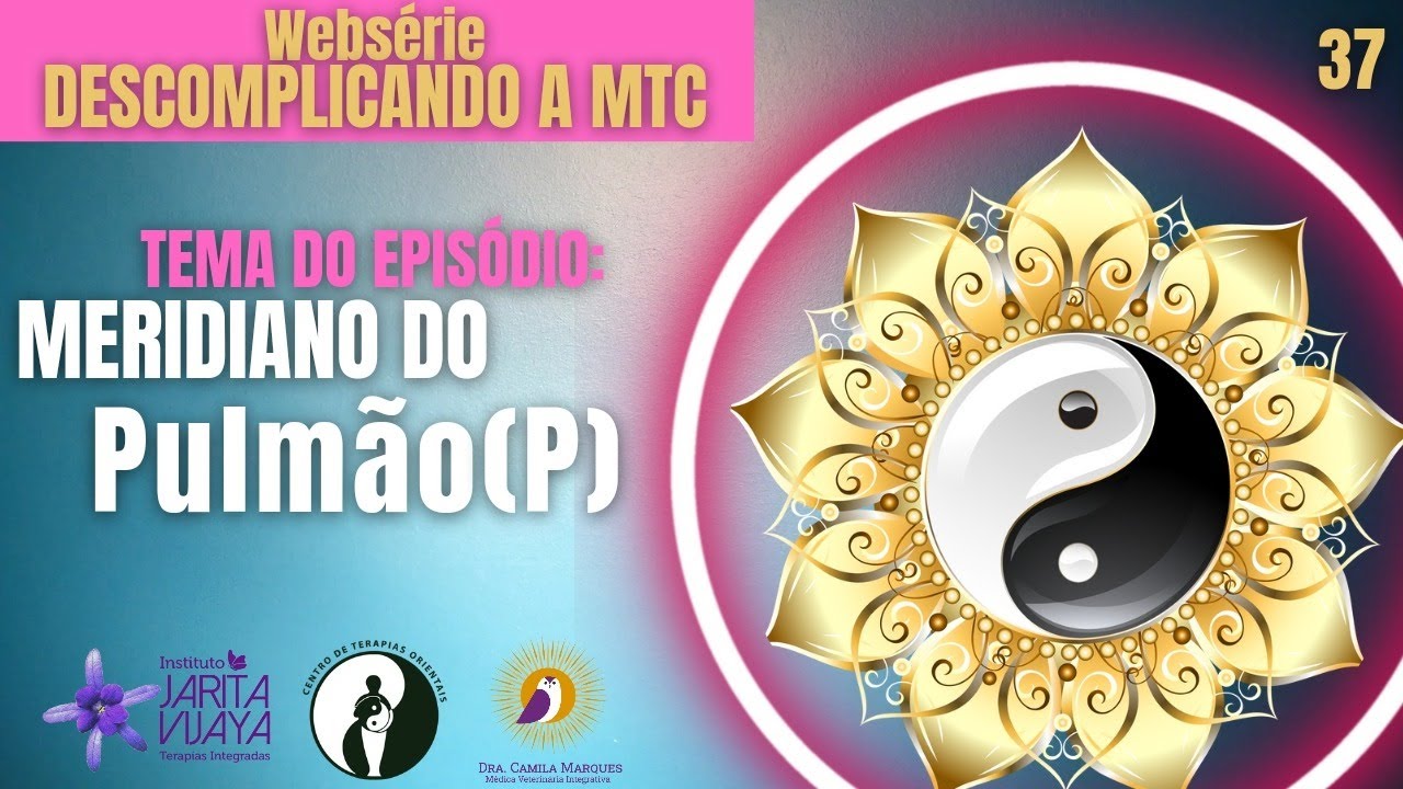 PULMÃO & MEDICiNA CHINESA: Conheça a visão da MTC - Descompliando a MTC ...