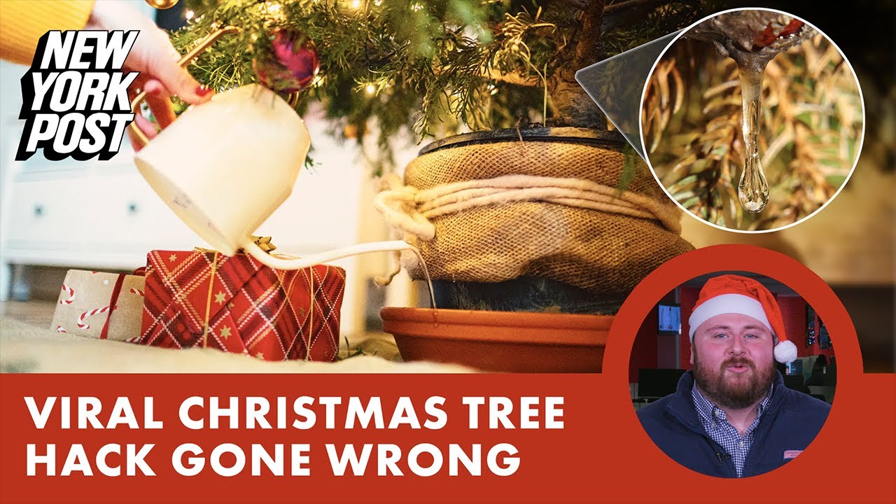 This Christmas tree hack is hugely popular — but does it really work ...