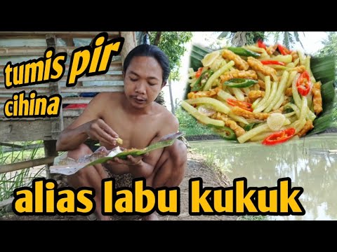 TUMIS PIR CAINA ATAU LABU KUKUK - YouTube