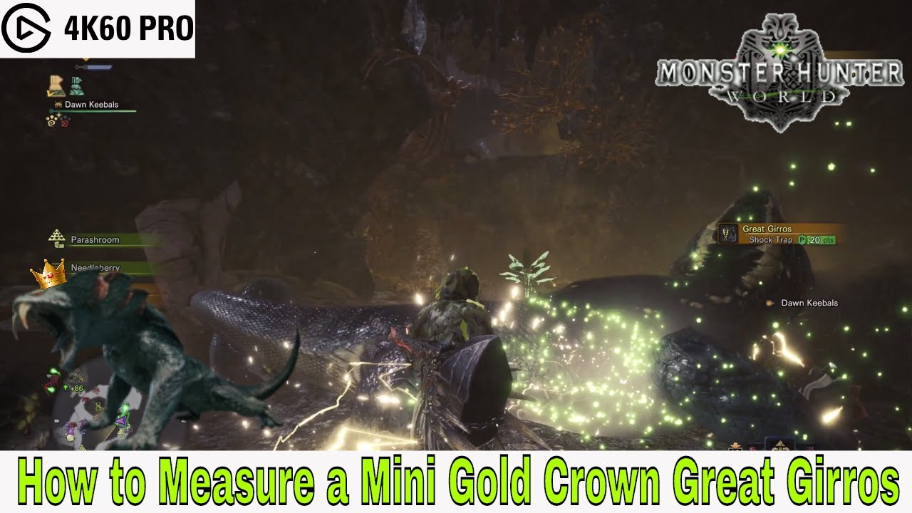 Monster Hunter: World - How to Measure a Mini Gold Crown Great Girros ...